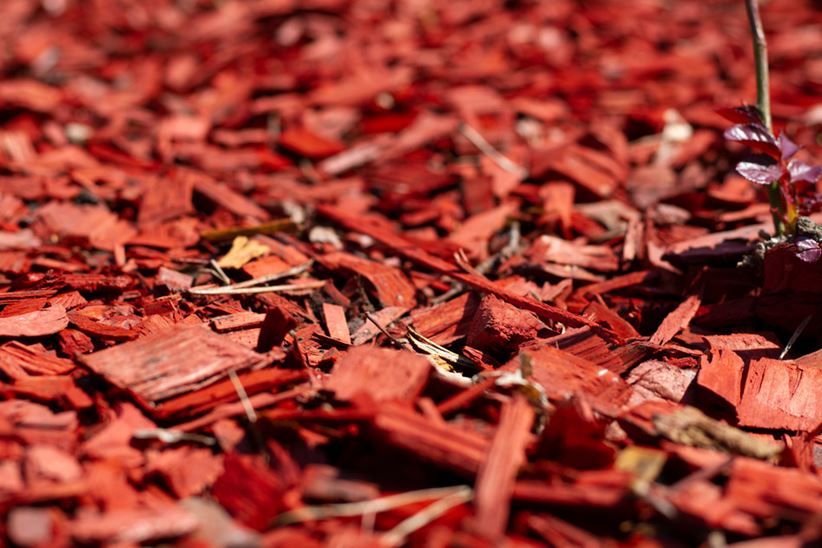 Bayferrox Pigments for Coatings Applications