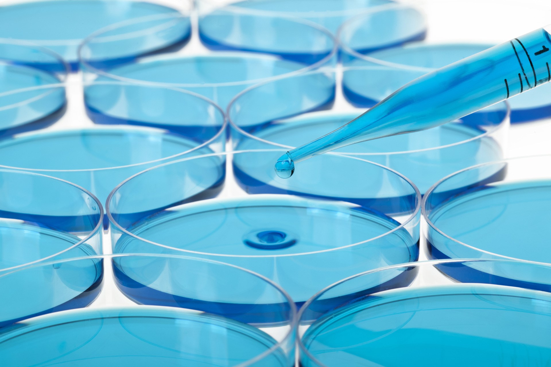 Biocides for Plant Hygiene | LANXESS