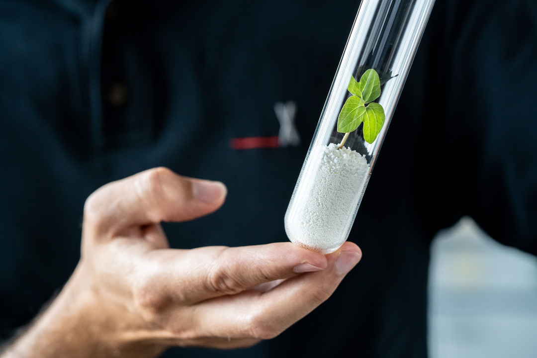 Scopeblue | Sustainable chemical products | LANXESS