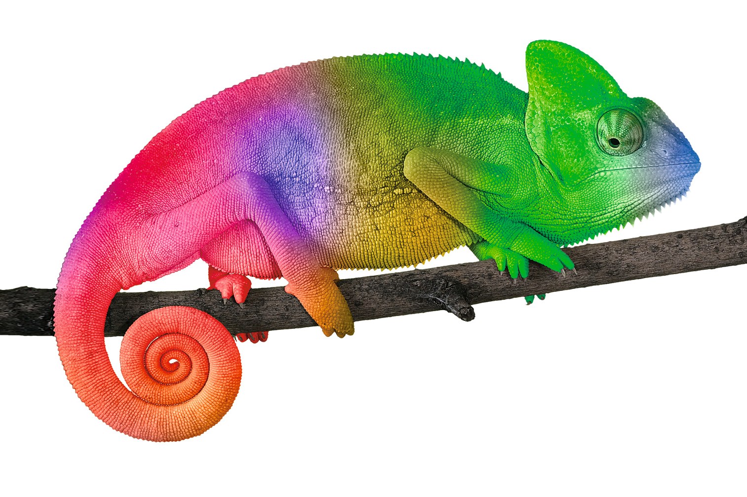 Paints & Coatings | Industry Products | LANXESS