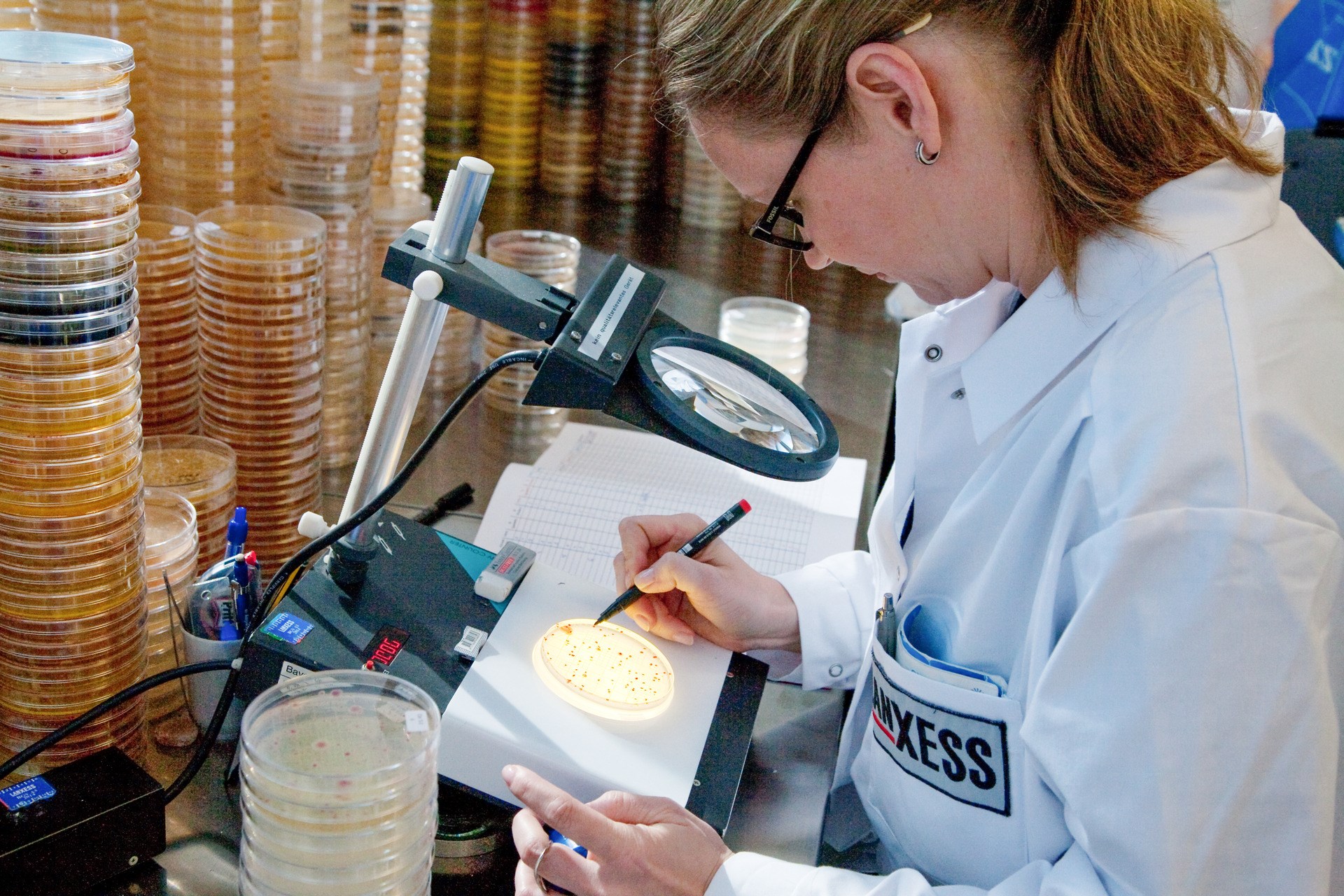 Material Protection Products | Protection & Disinfection | LANXESS