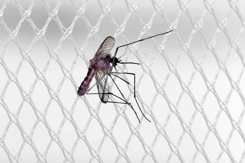 Saltidin® | Wirkstoff für Insektenschutzmittel | LANXESS